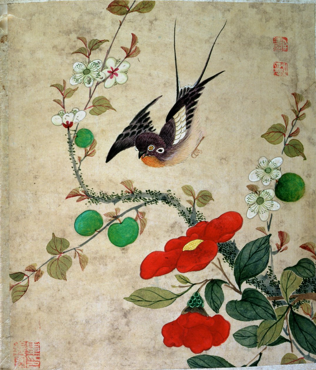 One of a series of paintings of birds and fruit